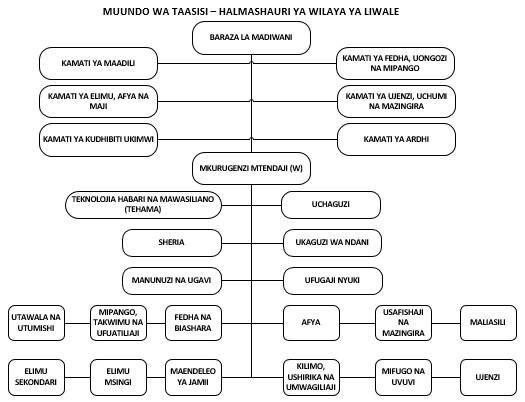 Muundo wa Taasisi | Liwale District Council